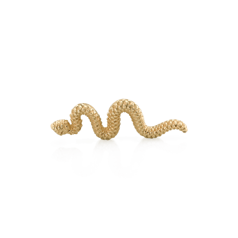 Tiny Delicate Snake – IRIS Studios