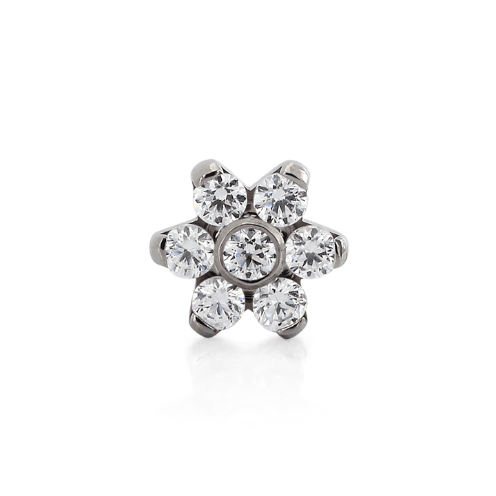 Anatometal – IRIS Studios